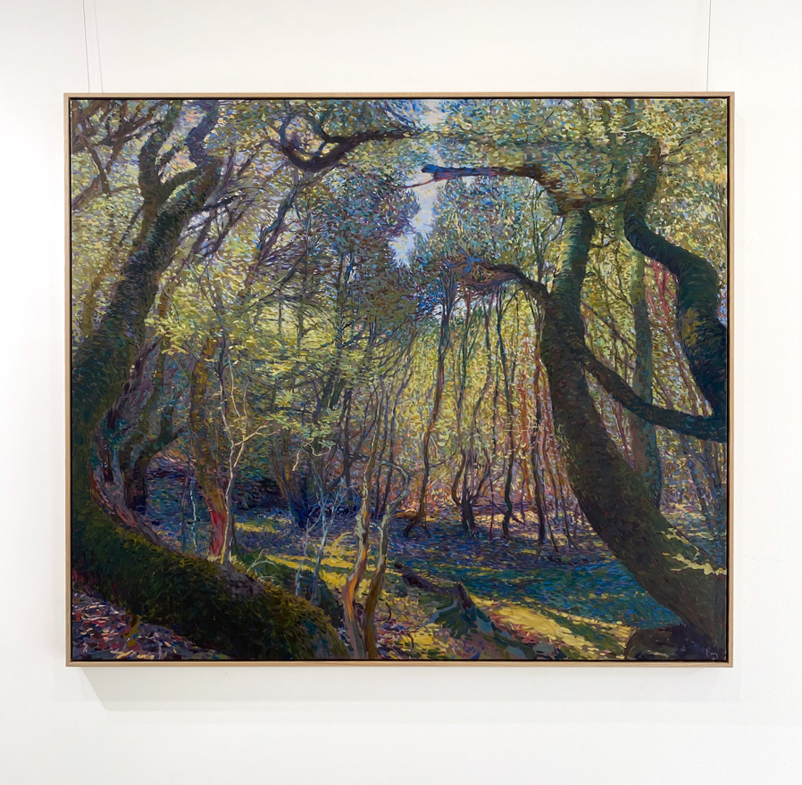 Paul McIntyre | Art2Muse